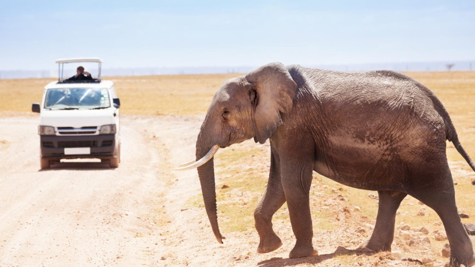 Comment bien préparer son premier safari en Afrique ? – > Le White ... Comment bien préparer son premier safari en Afrique ? – > Le White ...